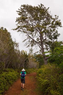 Moalepe Trail: Hiking Guide