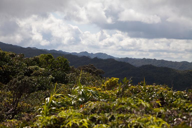 Pupukea Summit: Hiking Guide