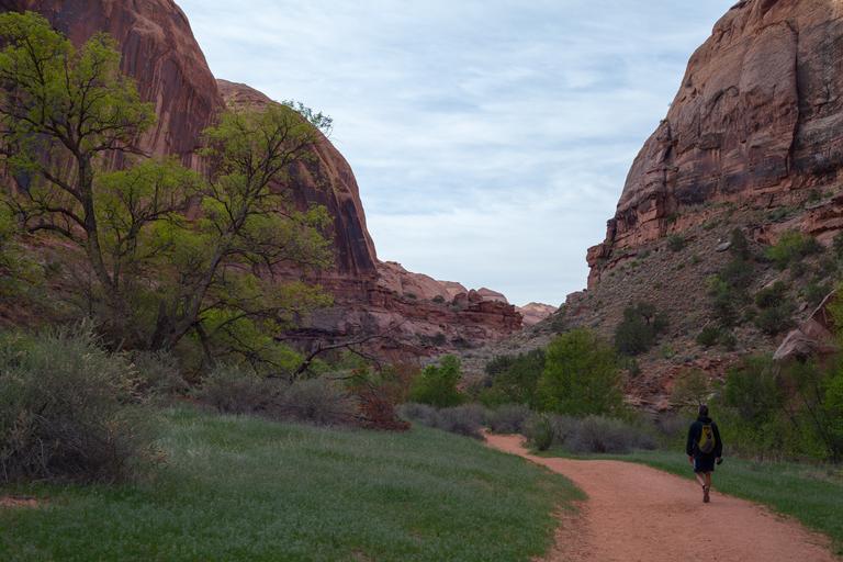 Grandstaff Canyon: Hiking Guide