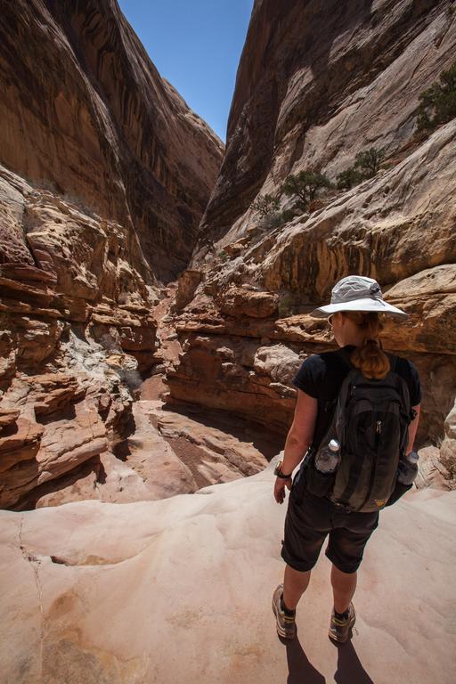 Ding Dang: Hiking Guide