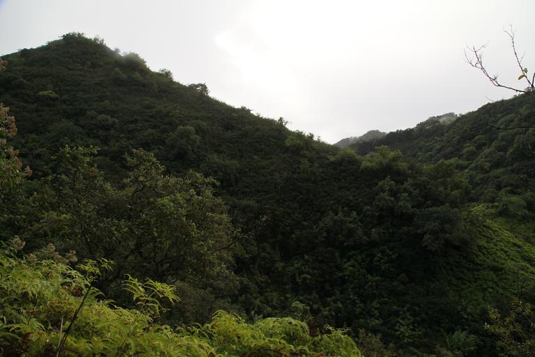 Waimano Pools: Hiking Guide