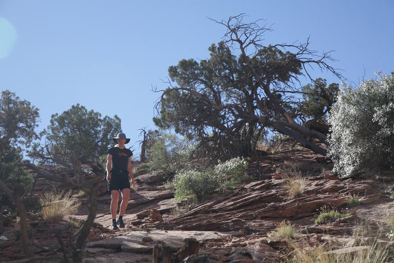 Alcove Spring: Hiking Guide