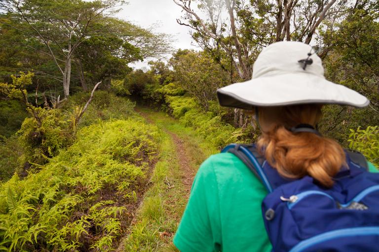 Moalepe Trail: Hiking Guide