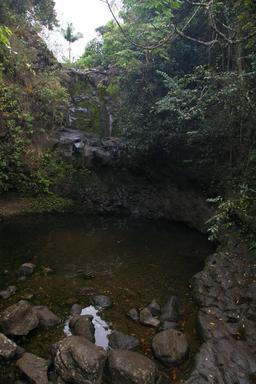 Waimano Pools: Hiking Guide