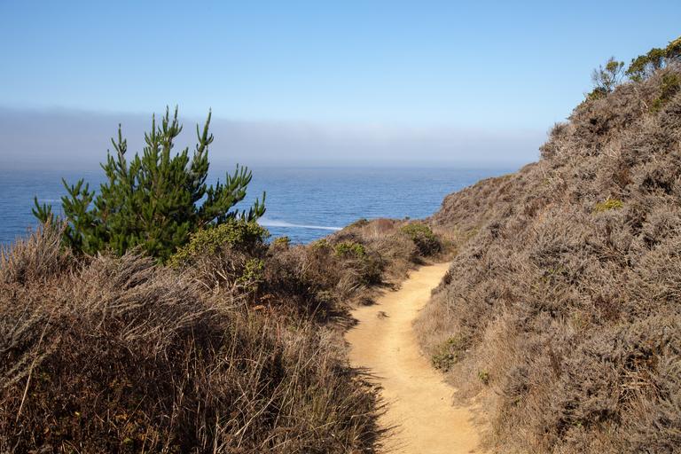 Gray Whale Cove Trail: Hiking Guide