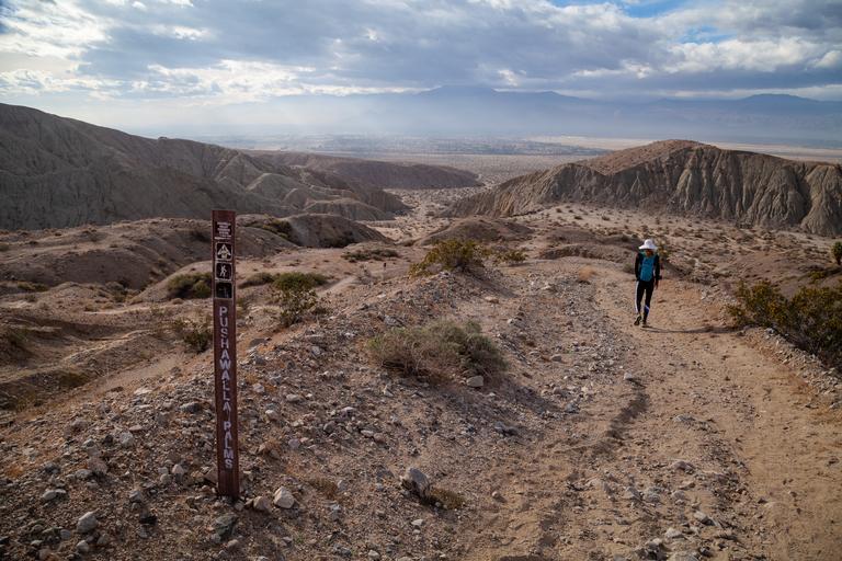 Pushawalla Palms: Hiking Guide