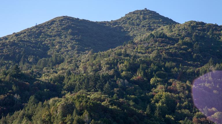Tiburon Ridge: Hiking Guide