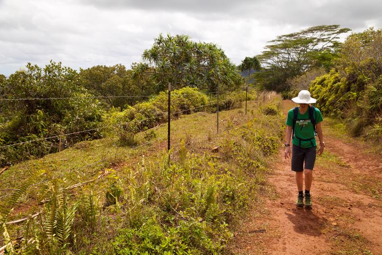 Moalepe Trail: Hiking Guide