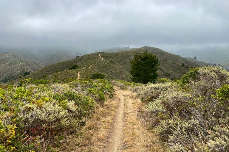 Montara Mountain Trail Map
