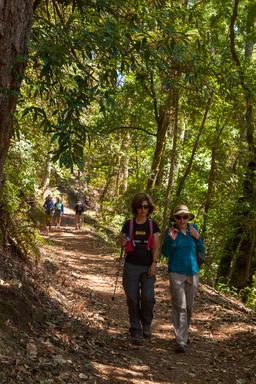 Wunderlich Park: Hiking Guide