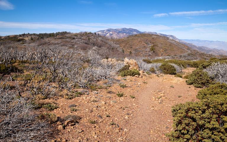PCT to Fobes Ranch: Hiking Guide