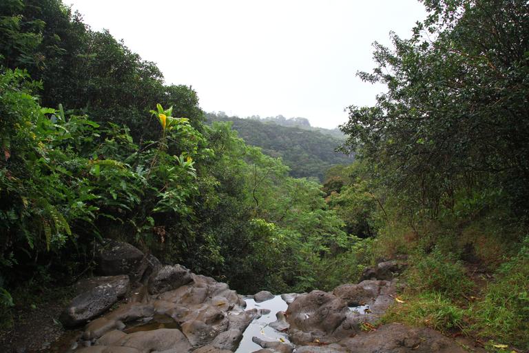 Waimano Pools: Hiking Guide