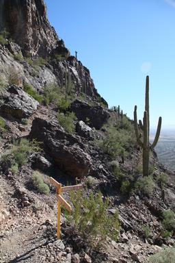 Picacho Peak: Hiking Guide