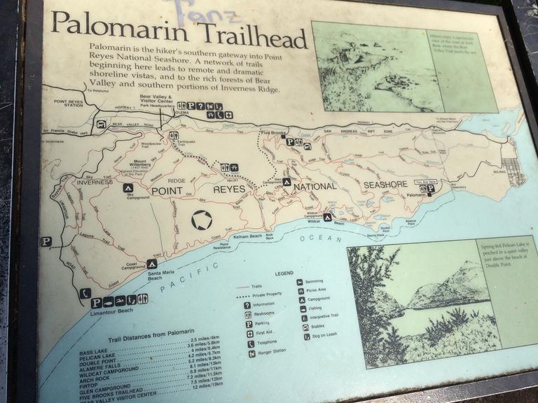 Palomarin Trailhead to Alamere Falls: Hiking Guide