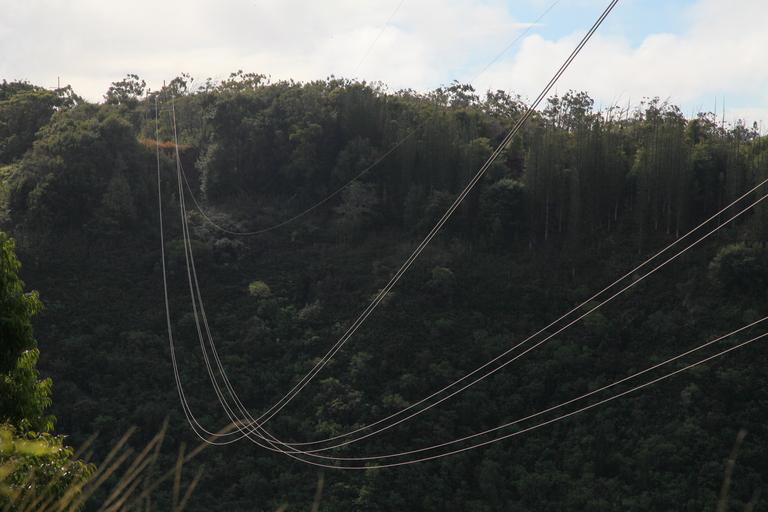 Waimano Pools: Hiking Guide