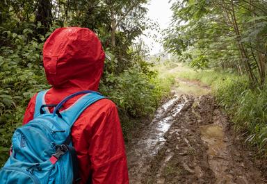 Moalepe Trail: Hiking Guide