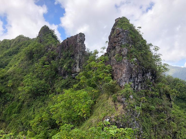 Pu'u Piei Makai: Hiking Guide