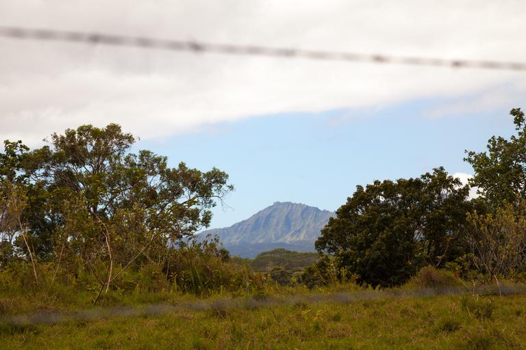 Moalepe Trail: Hiking Guide