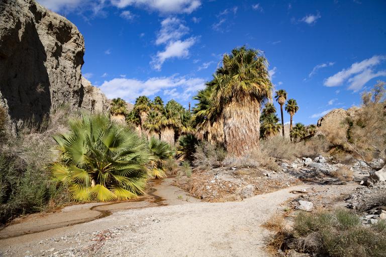 Pushawalla Canyon: Hiking Guide