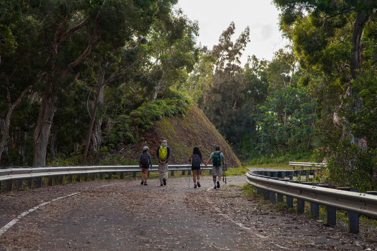 Pupukea Summit: Hiking Guide