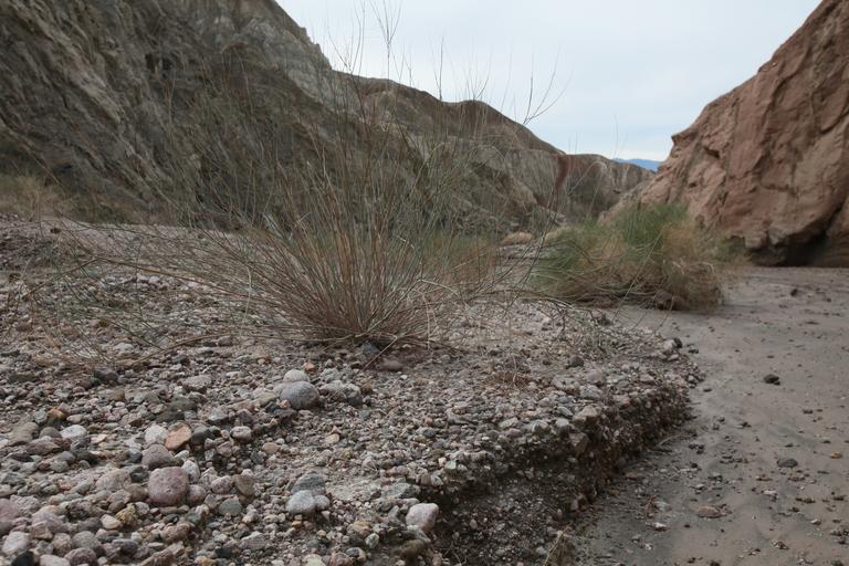 Coffee Bean Canyon: Hiking Guide