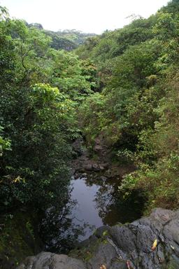 Waimano Pools: Hiking Guide
