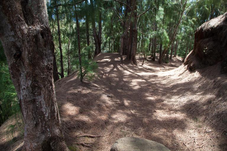 Kaluanui Ridge: Hiking Guide