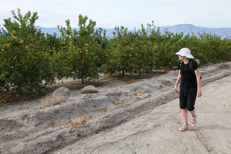 Coffee Bean Canyon: Hiking Guide