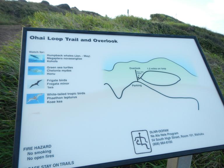 Ohai Loop Trail: Hiking Guide