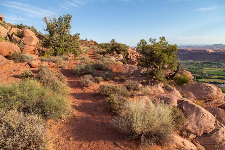 Moab Rim: Hiking Guide