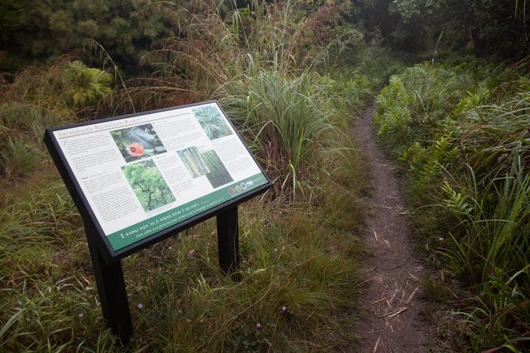 Keahi a Kahoe: Hiking Guide