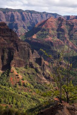 Kukui Trail: Hiking Guide