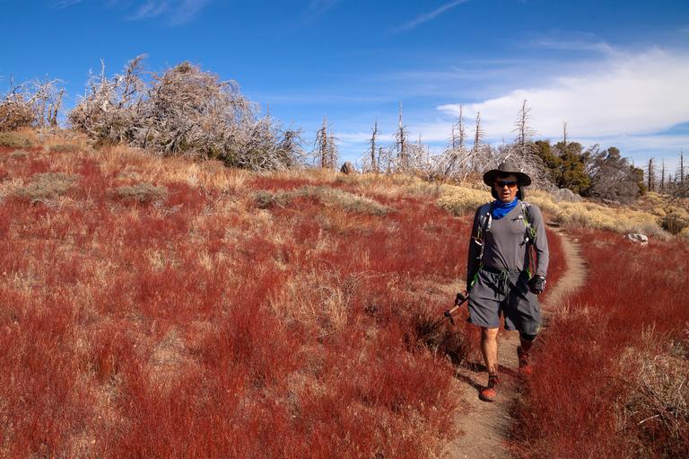 PCT to Fobes Ranch: Hiking Guide