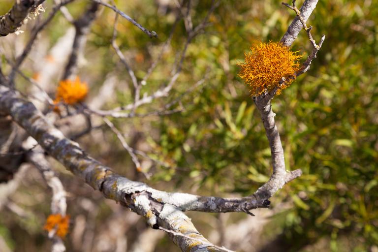 Kawiwi No Name: Hiking Guide