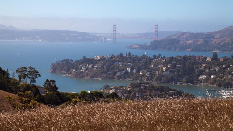 Tiburon Ridge: Hiking Guide