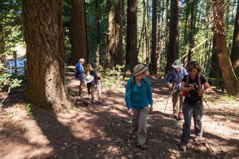 Wunderlich Park: Hiking Guide