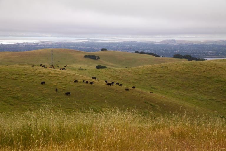Vargas Plateau: Hiking Guide