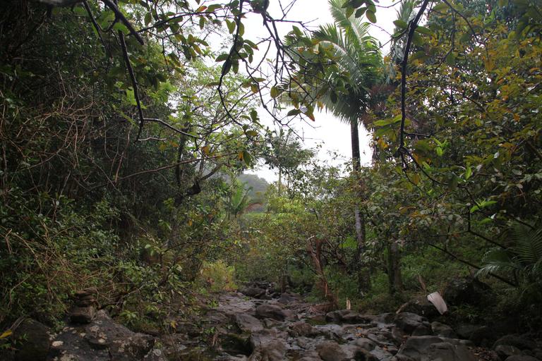 Waimano Pools: Hiking Guide