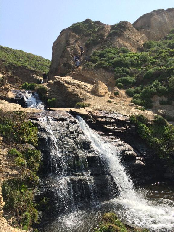 Palomarin Trailhead to Alamere Falls: Hiking Guide