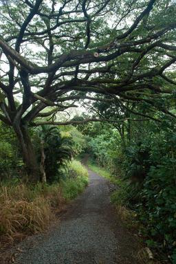 Keahi a Kahoe: Hiking Guide