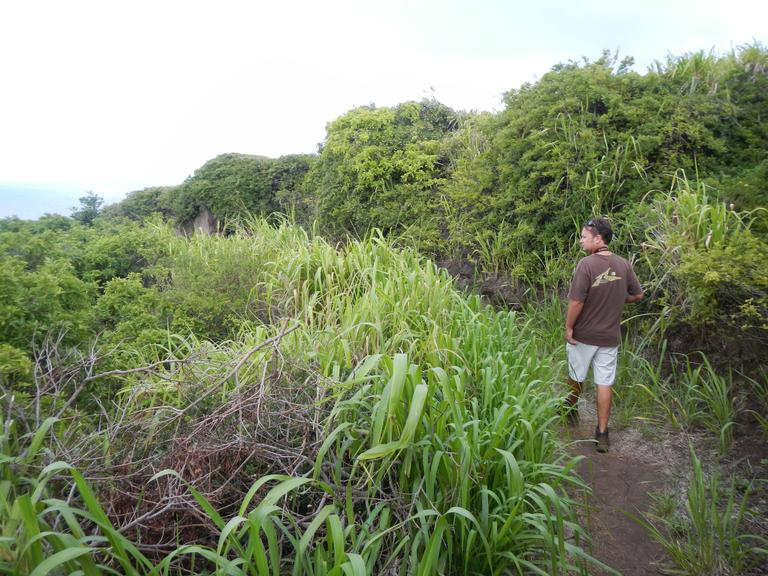 Ohai Loop Trail: Hiking Guide
