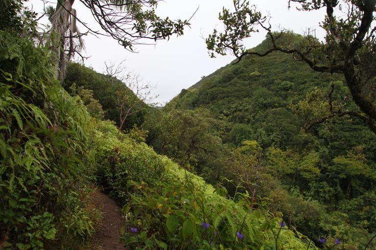 Waimano Pools: Hiking Guide