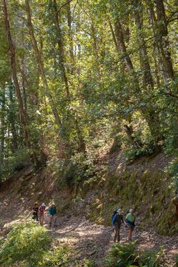 Wunderlich Park: Hiking Guide