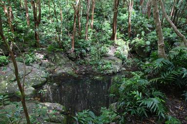 Waimano Pools: Hiking Guide