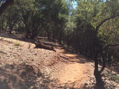 Moalepe Trail: Hiking Guide