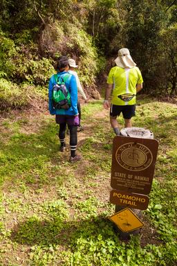 Poamoho Ridge: Hiking Guide