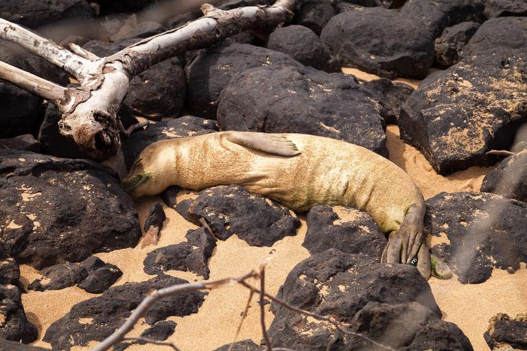 Pakala Beach: Hiking Guide