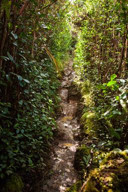 Pupukea Summit: Hiking Guide
