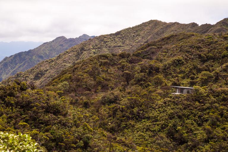 Poamoho Ridge: Hiking Guide