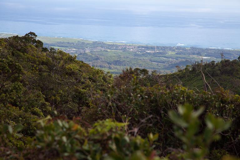Pupukea Summit: Hiking Guide